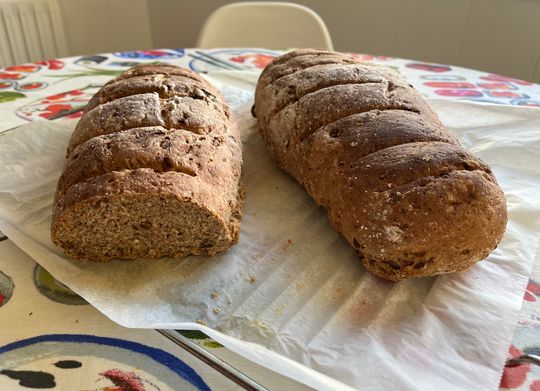 pan-integral-100?rev=1685892651673